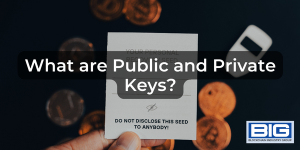 Public and Private Keys: Guardians of Blockchain Security